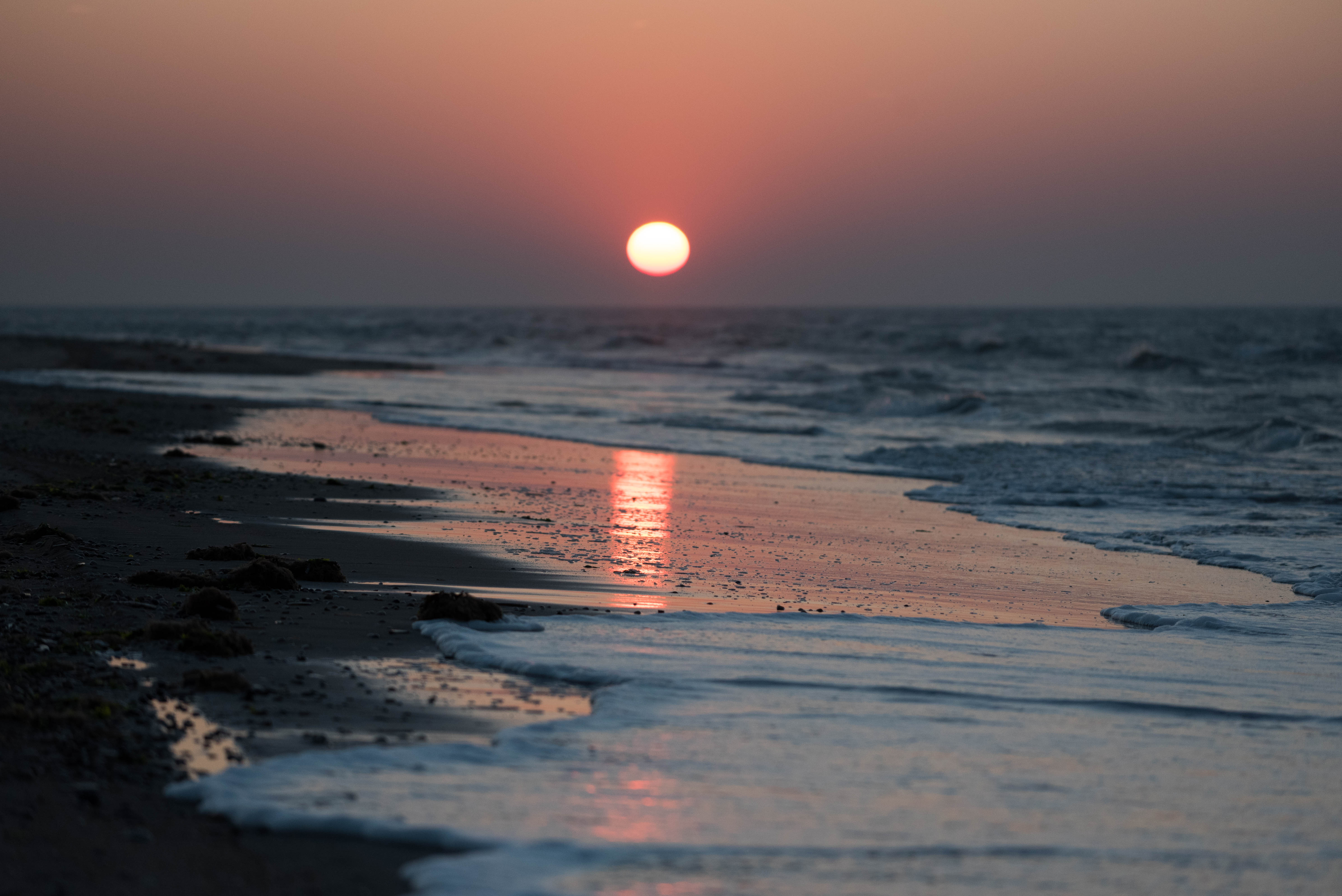 Zomer tips van de boswachters - VVV Vlieland