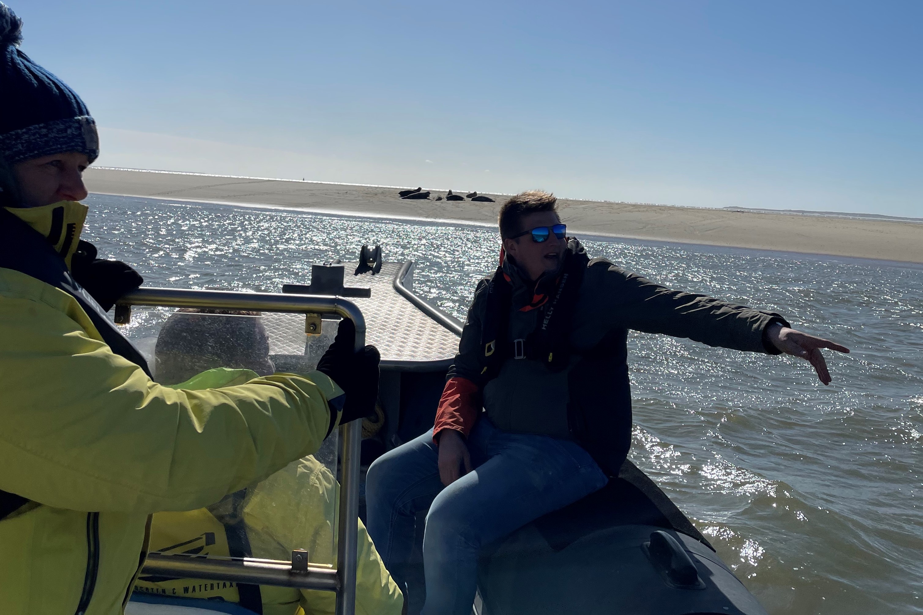 Zeehonden kijken met een snelle rubberboot - VVV Vlieland
